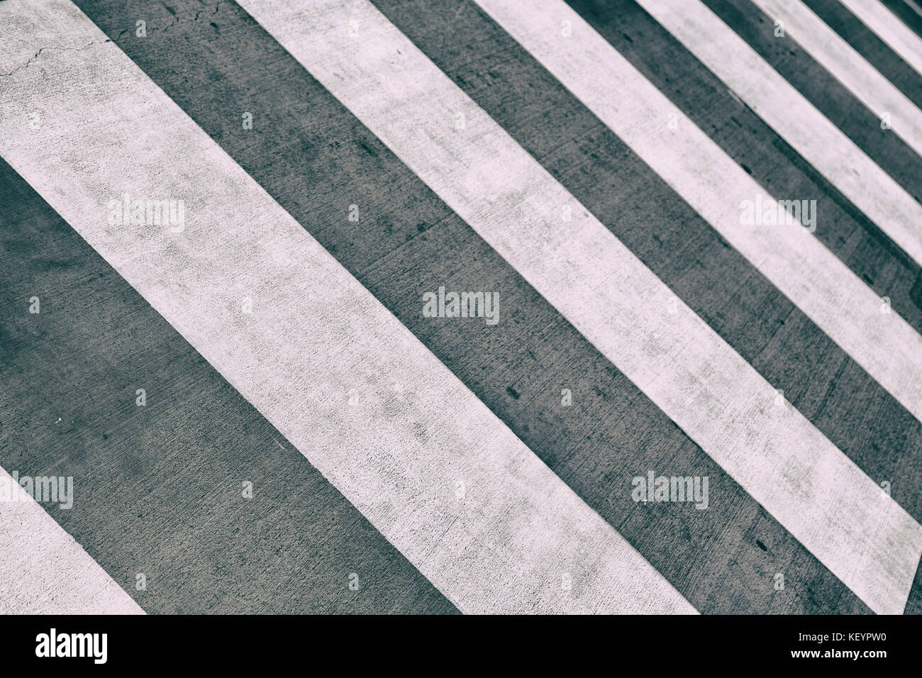 in australia the concept of safety whit zebra crossing like background ...