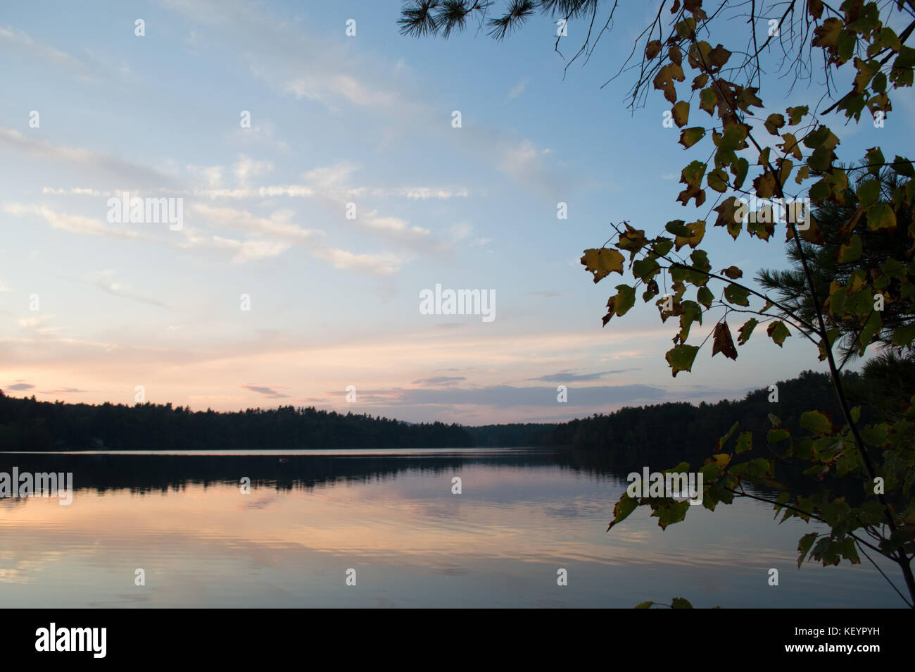 Pearly open hi-res stock photography and images - Alamy