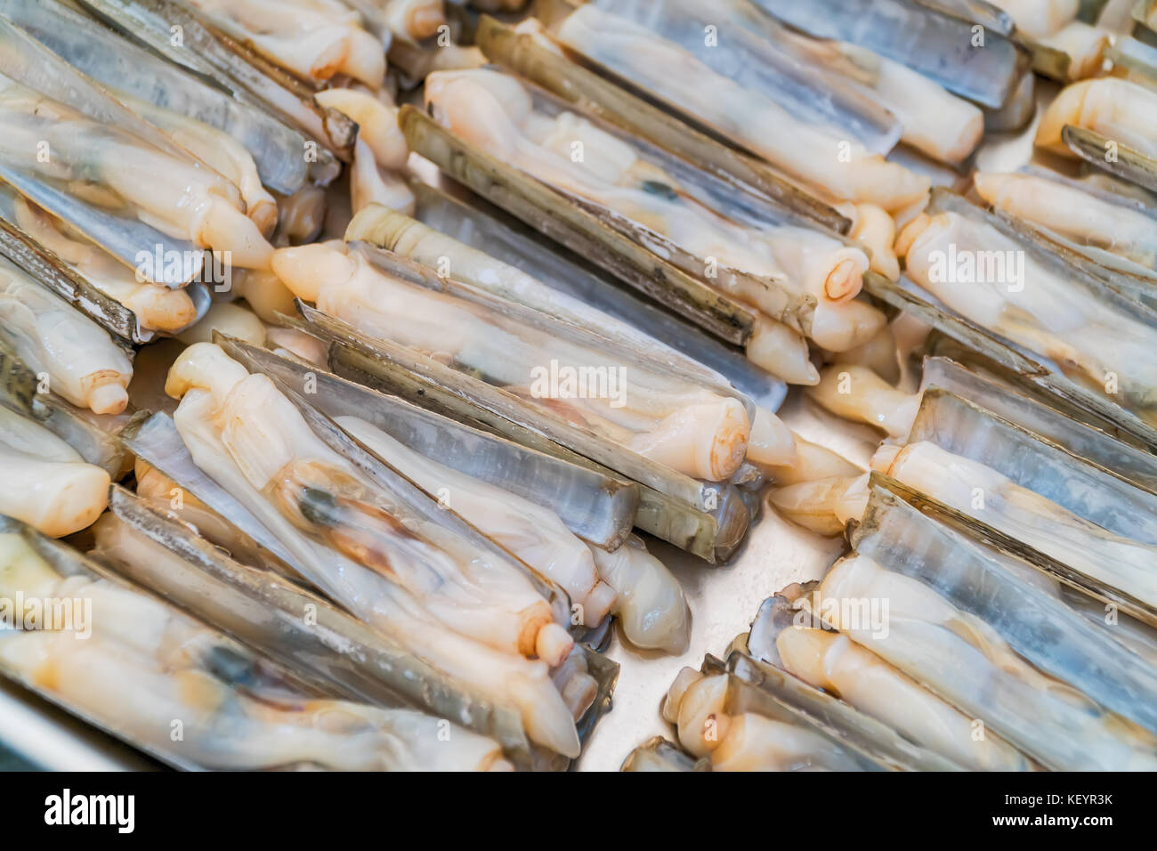 Fresh razor shell on ice at the seafood booth Stock Photo - Alamy
