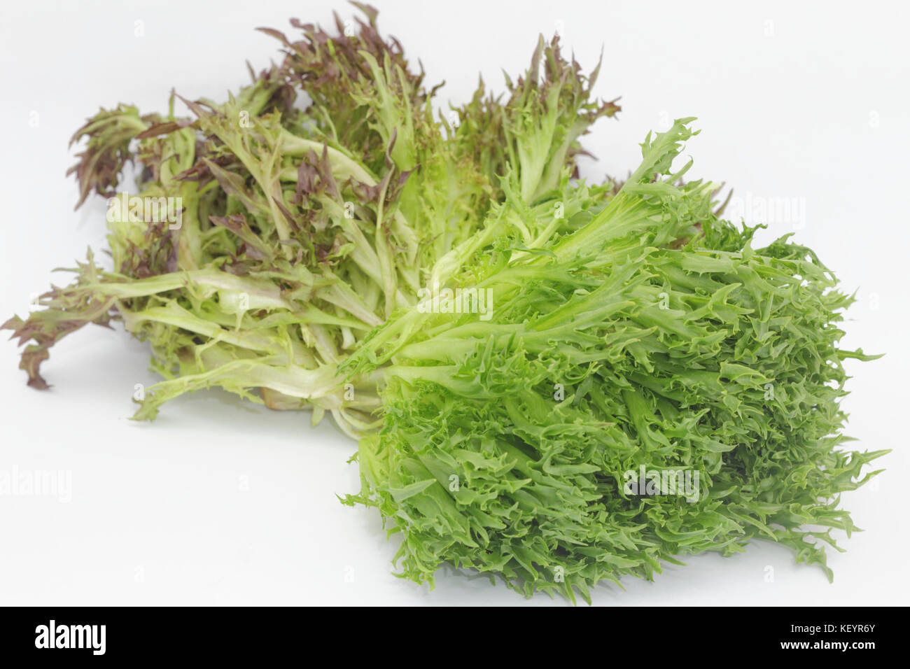 Red and green curled lollo lettuce on isolated white background Stock ...