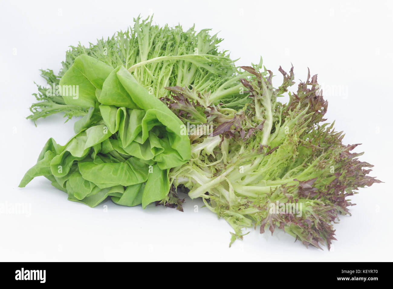 Red and green curled lollo lettuce on isolated white background Stock ...