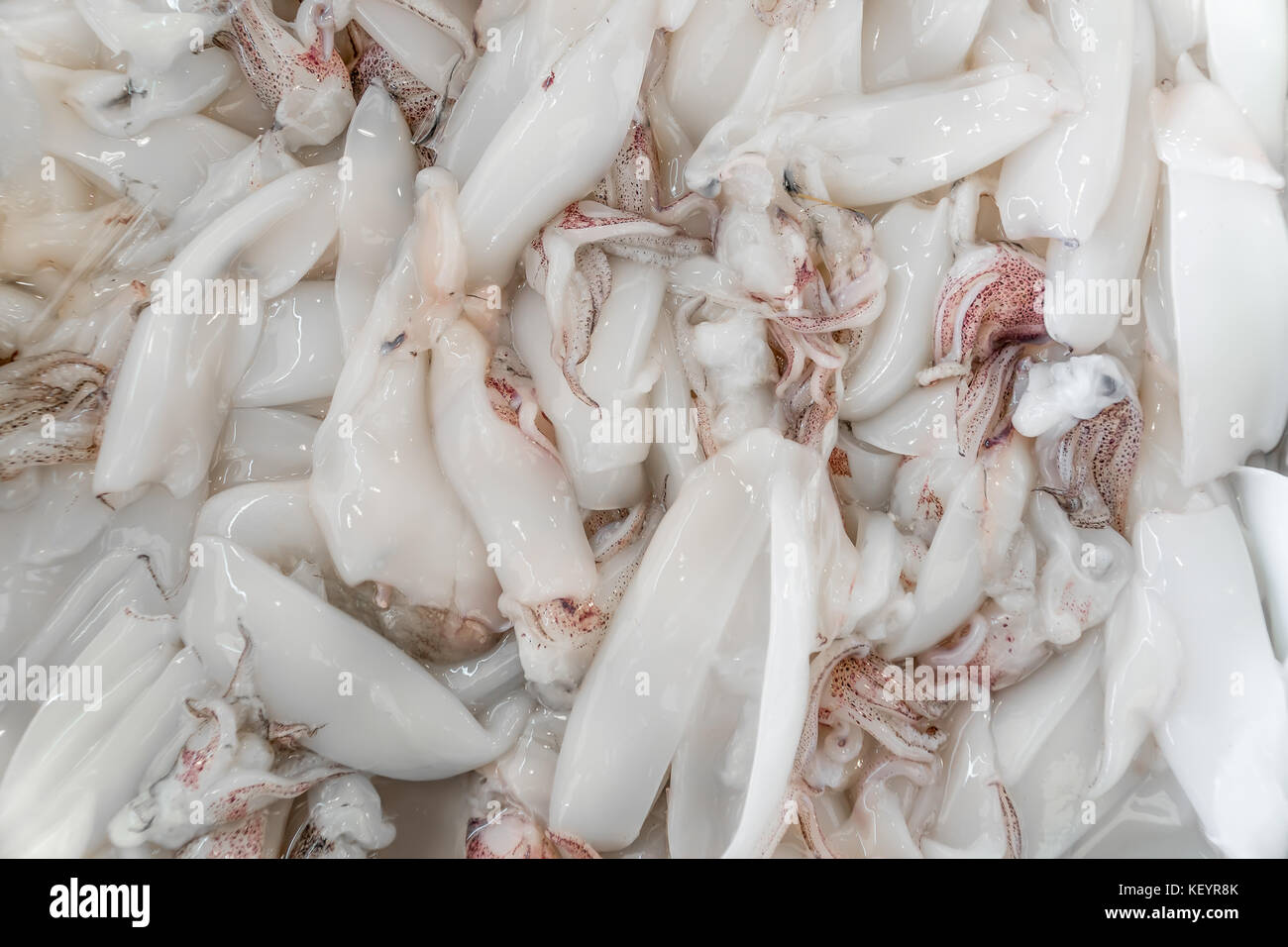 Fresh squid on ice Stock Photo - Alamy