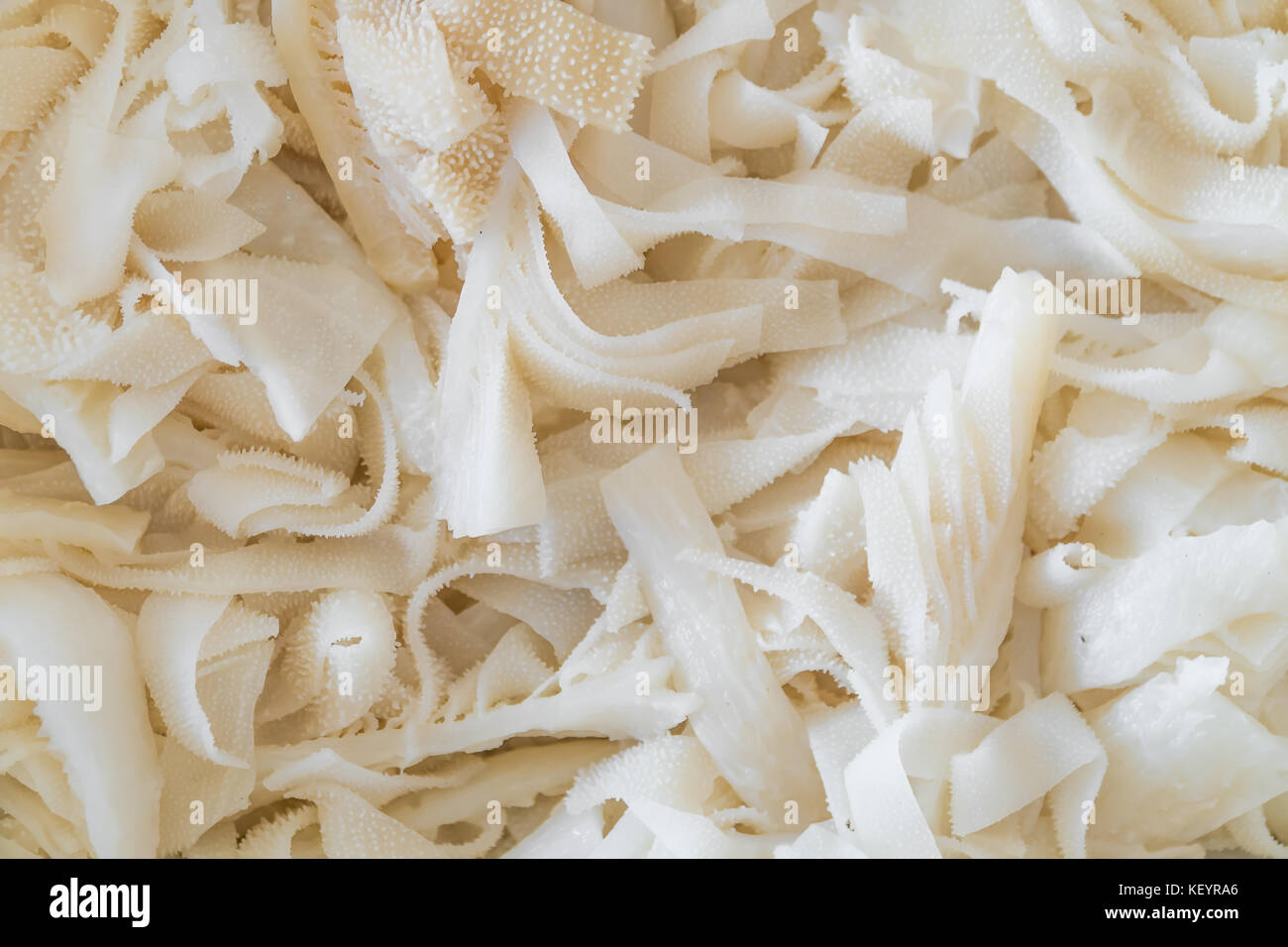 Mammal intestine hi-res stock photography and images - Alamy