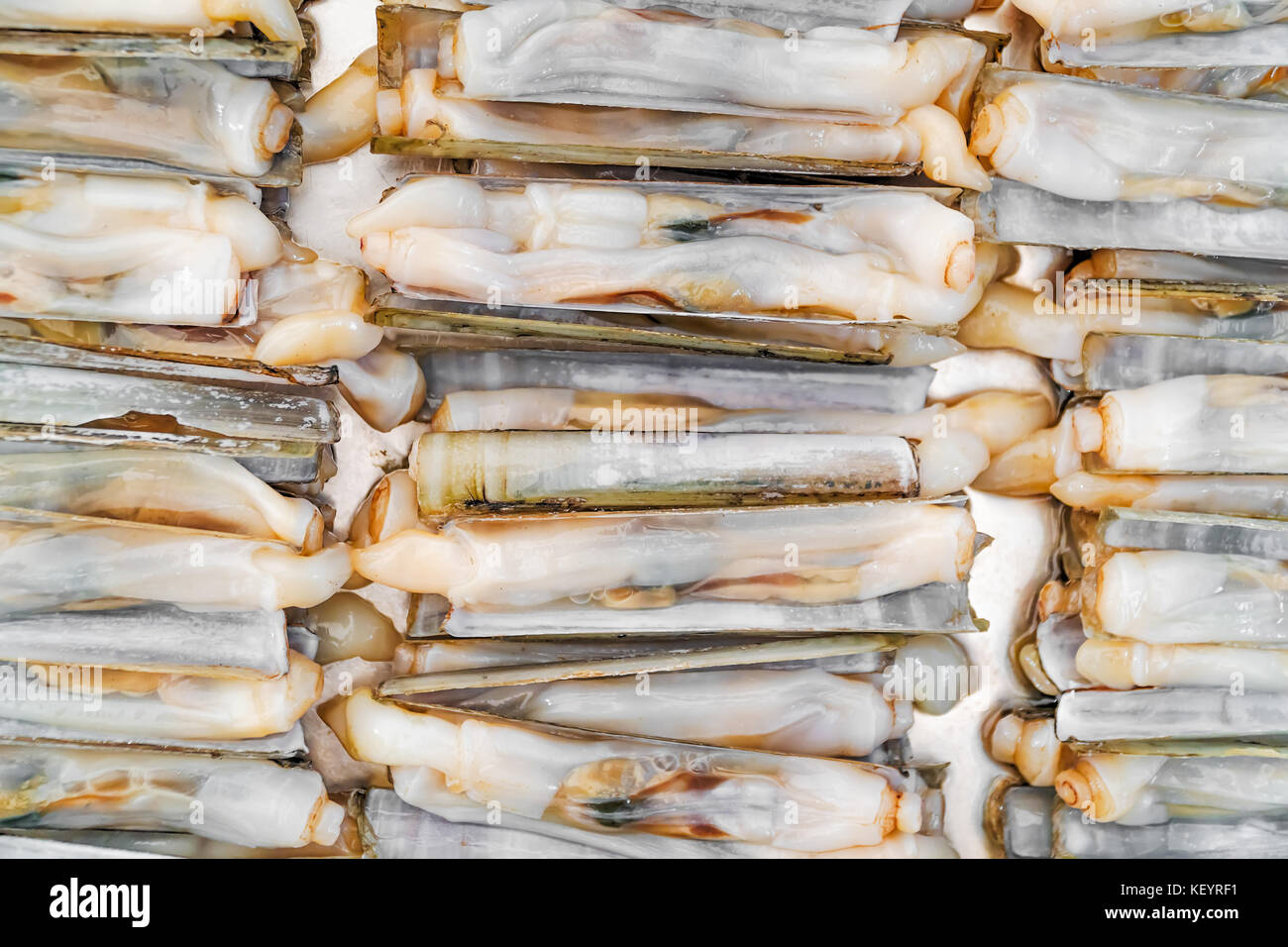 Fresh razor shell on ice at the seafood booth Stock Photo - Alamy