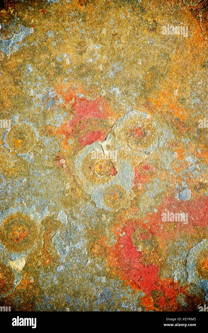 Table slate background close up at high resolution Stock Photo - Alamy