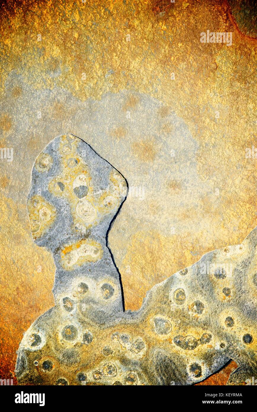 Table slate background close up at high resolution Stock Photo - Alamy