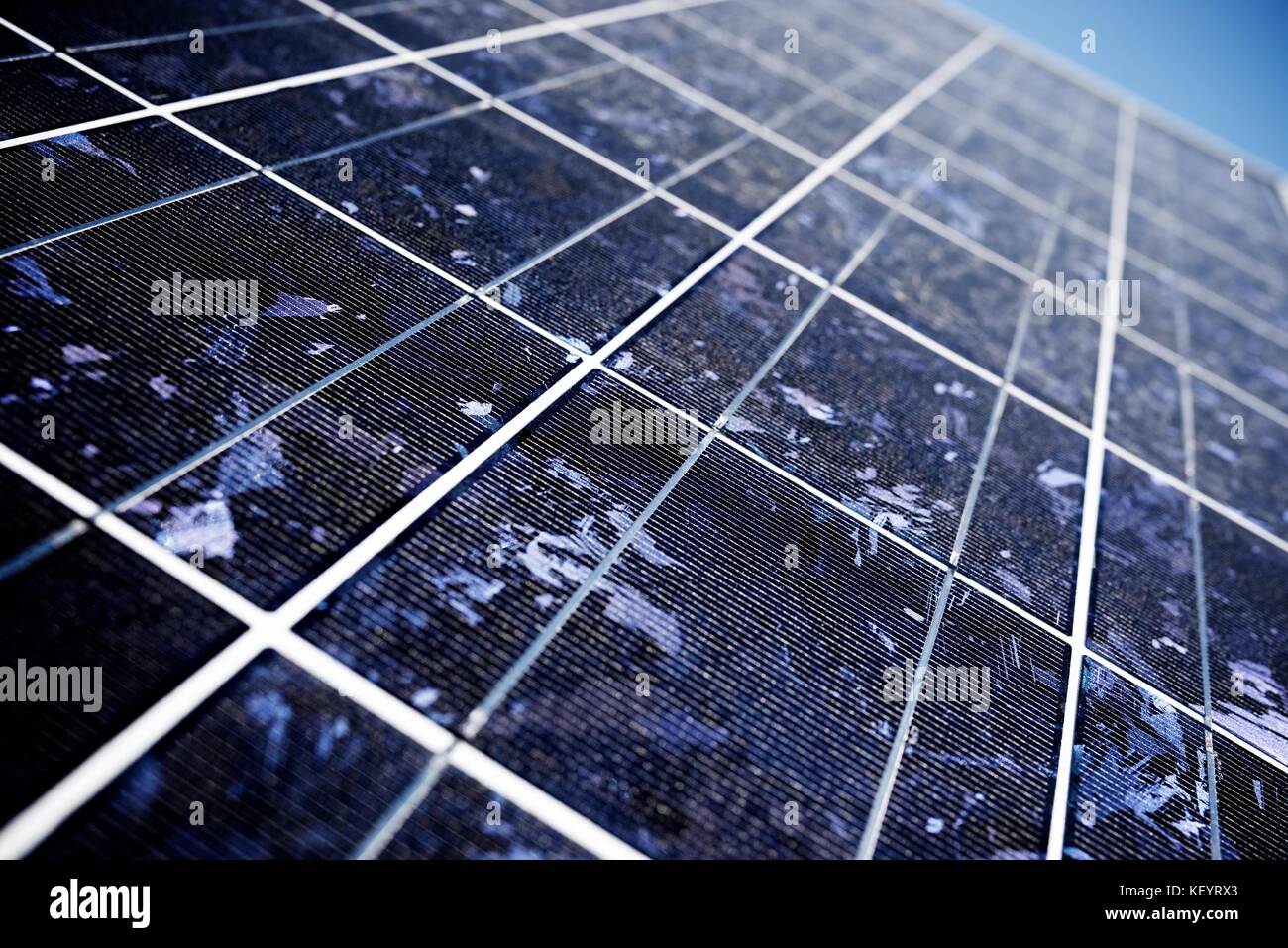 detail of a photovoltaic panel for renewable electric production Stock ...