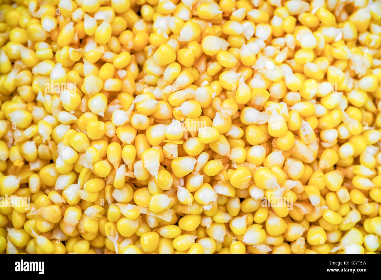 Close-up of tinned sweetcorn from above Stock Photo - Alamy