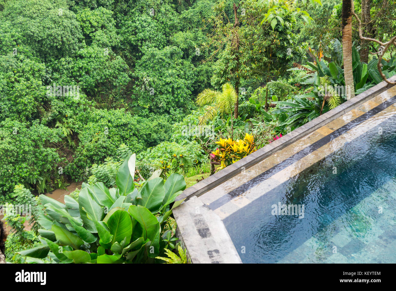 Infinity Pool with Jungle Panorama Stock Photo - Alamy