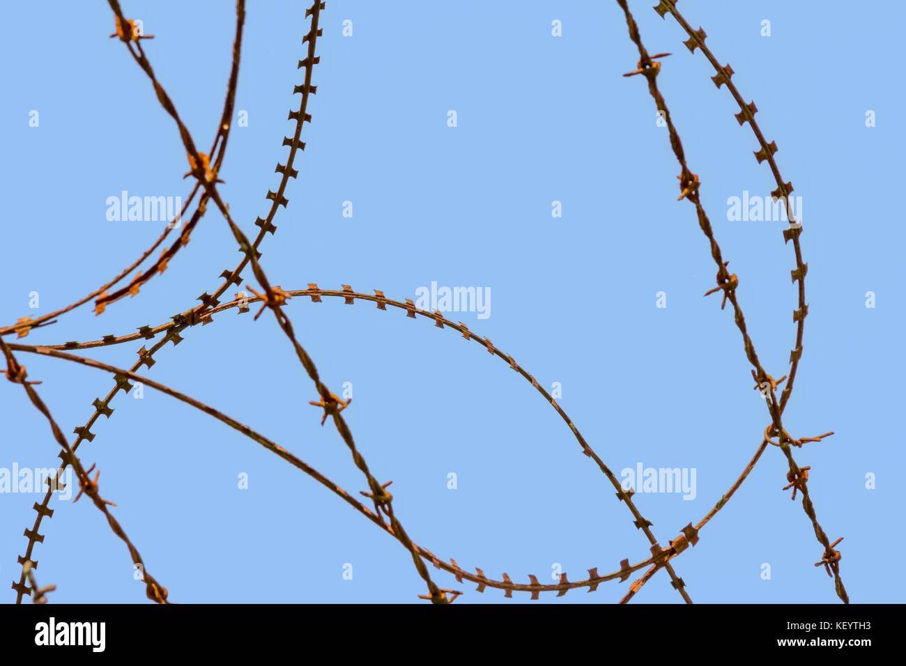 Back boundary line hi-res stock photography and images - Alamy