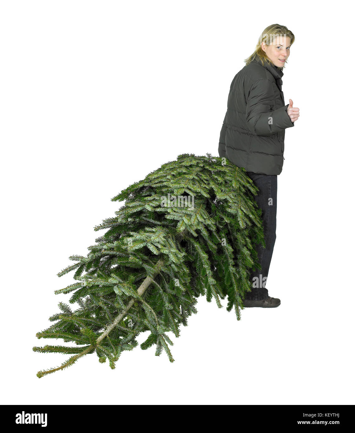 young woman pulling a christmas tree in white back Stock Photo - Alamy