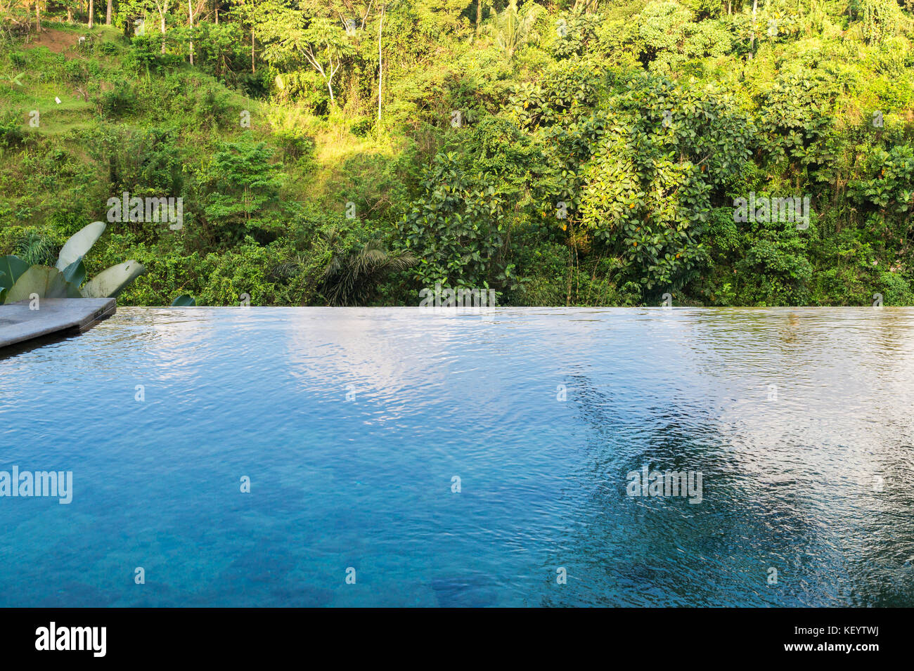 Infinity Pool with Jungle Panorama Stock Photo - Alamy