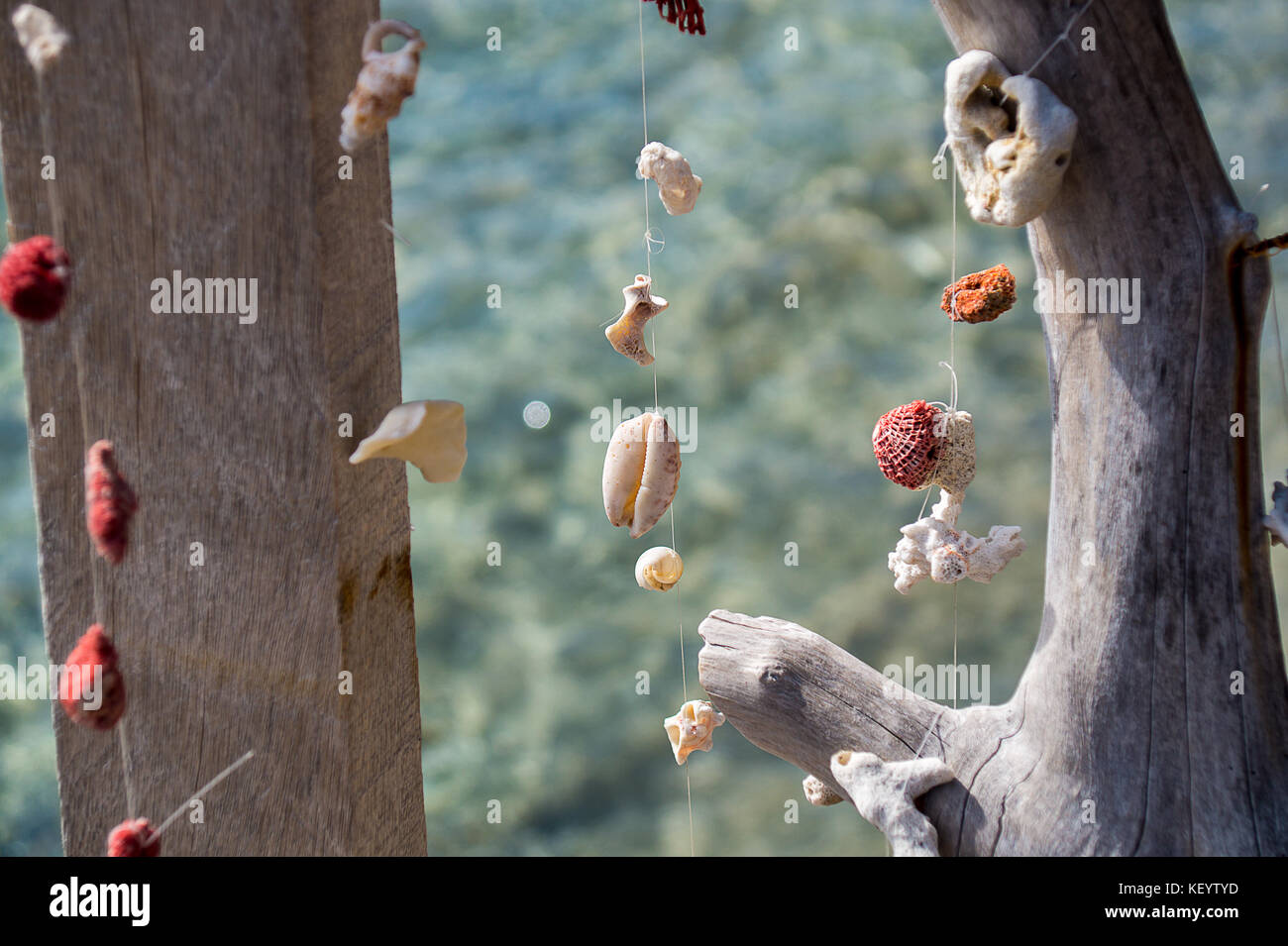 String of shells hi-res stock photography and images - Alamy