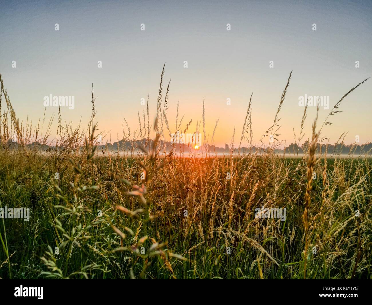 Colorful countryside sunrise with trees Stock Photo - Alamy