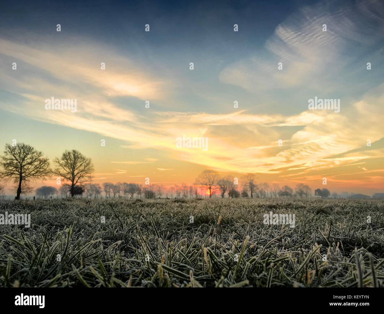 Colorful countryside sunrise with trees Stock Photo - Alamy