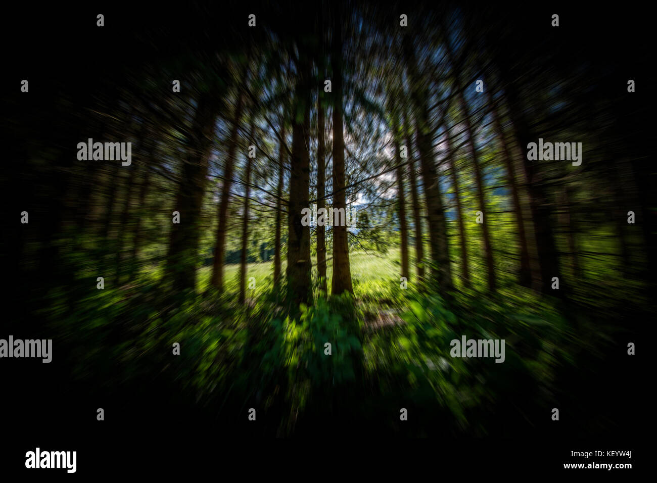 out into the light Stock Photo - Alamy