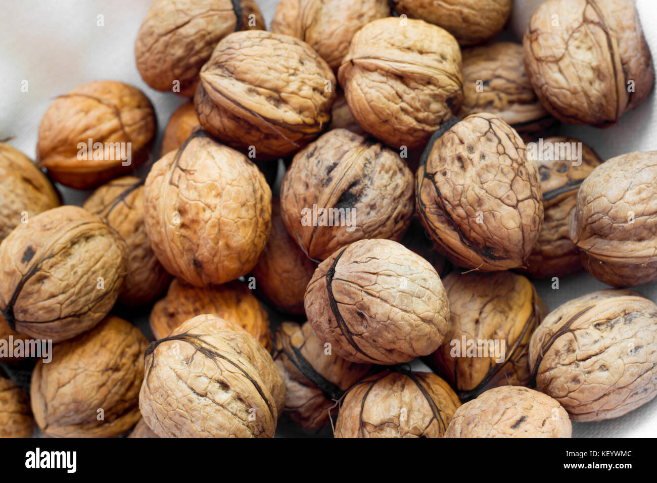 Raw and dried walnut as a texture Stock Photo - Alamy
