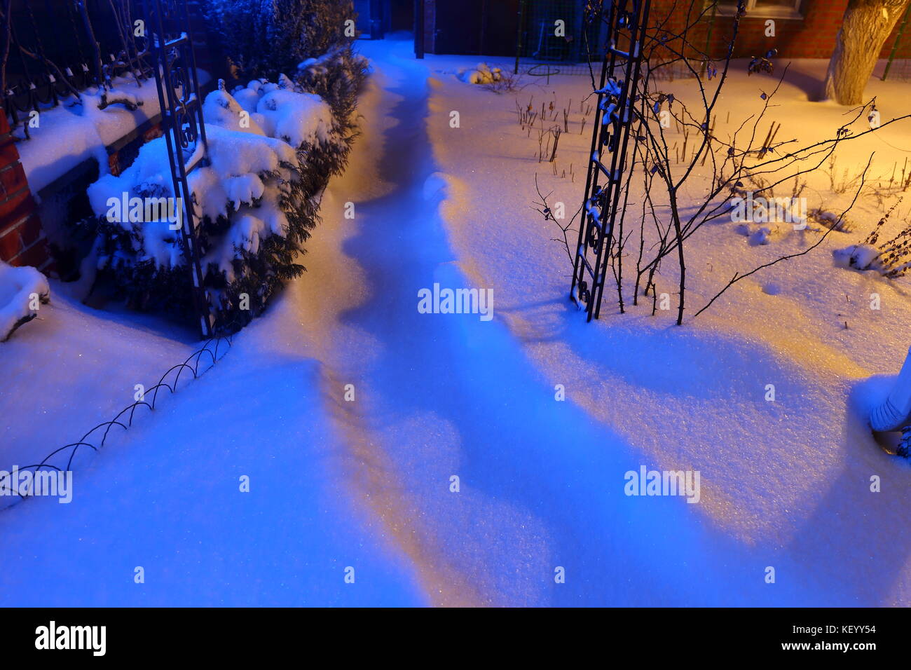 Snow covered path lit by street lights at night time Stock Photo - Alamy