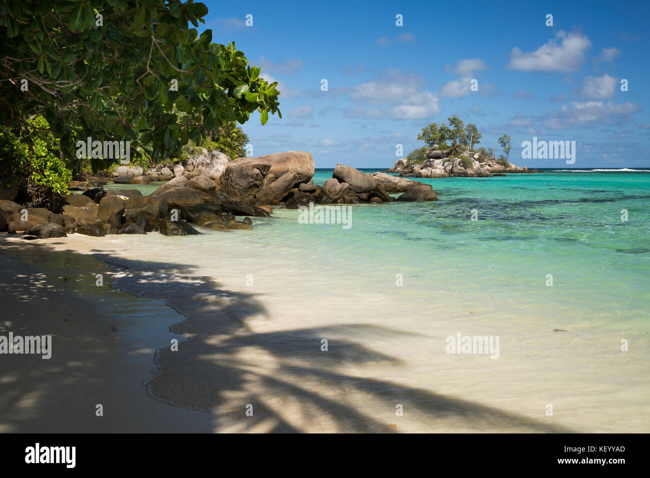 The Seychelles, Mahe, Anse Royale, Ile Souris, beach, palm tree shadow ...