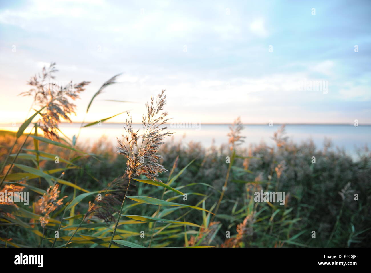 Hiddensee horizon hi-res stock photography and images - Alamy