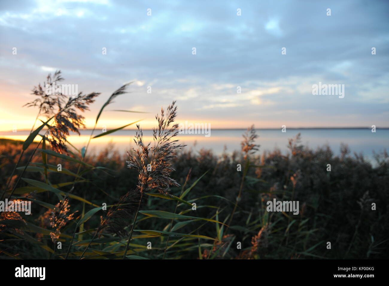 Hiddensee beach hi-res stock photography and images - Alamy