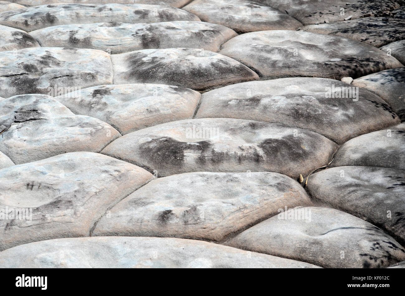 Natural hexagonal erosion pattern in sandstone rock formation, Royal ...