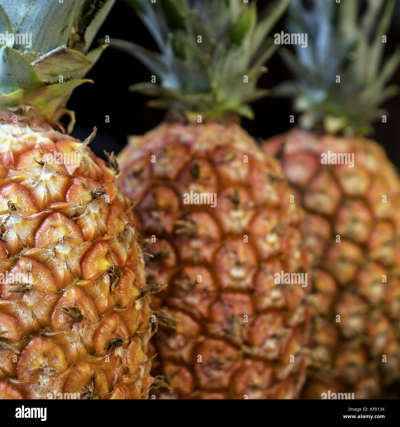 Close-up on three pineapples in a row with copyspace on dark background ...