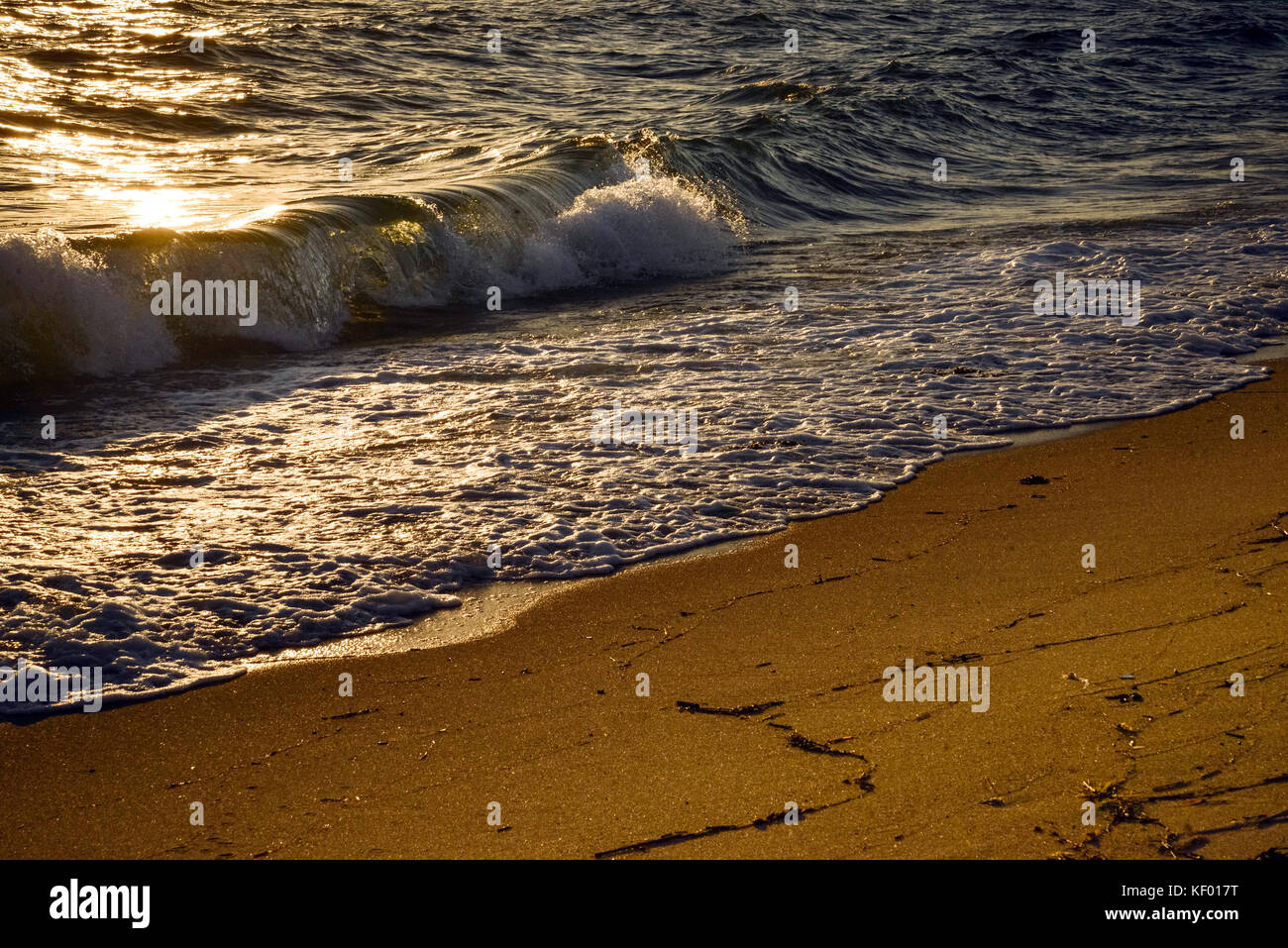 Waves breaking on the beach at Cape Cod National Seashore Stock Photo ...