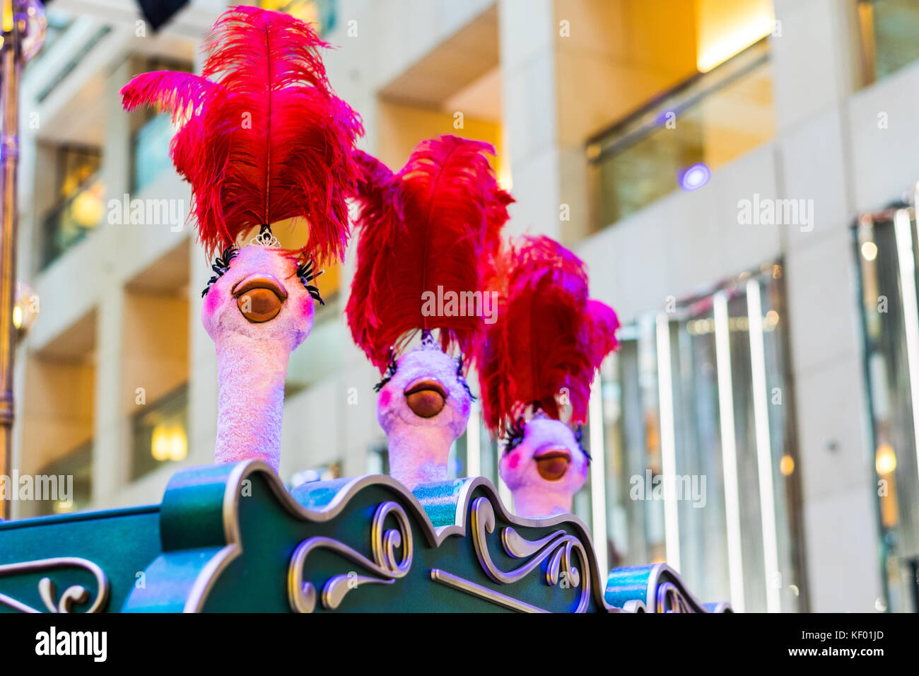 Feathered ostrich hi-res stock photography and images - Alamy