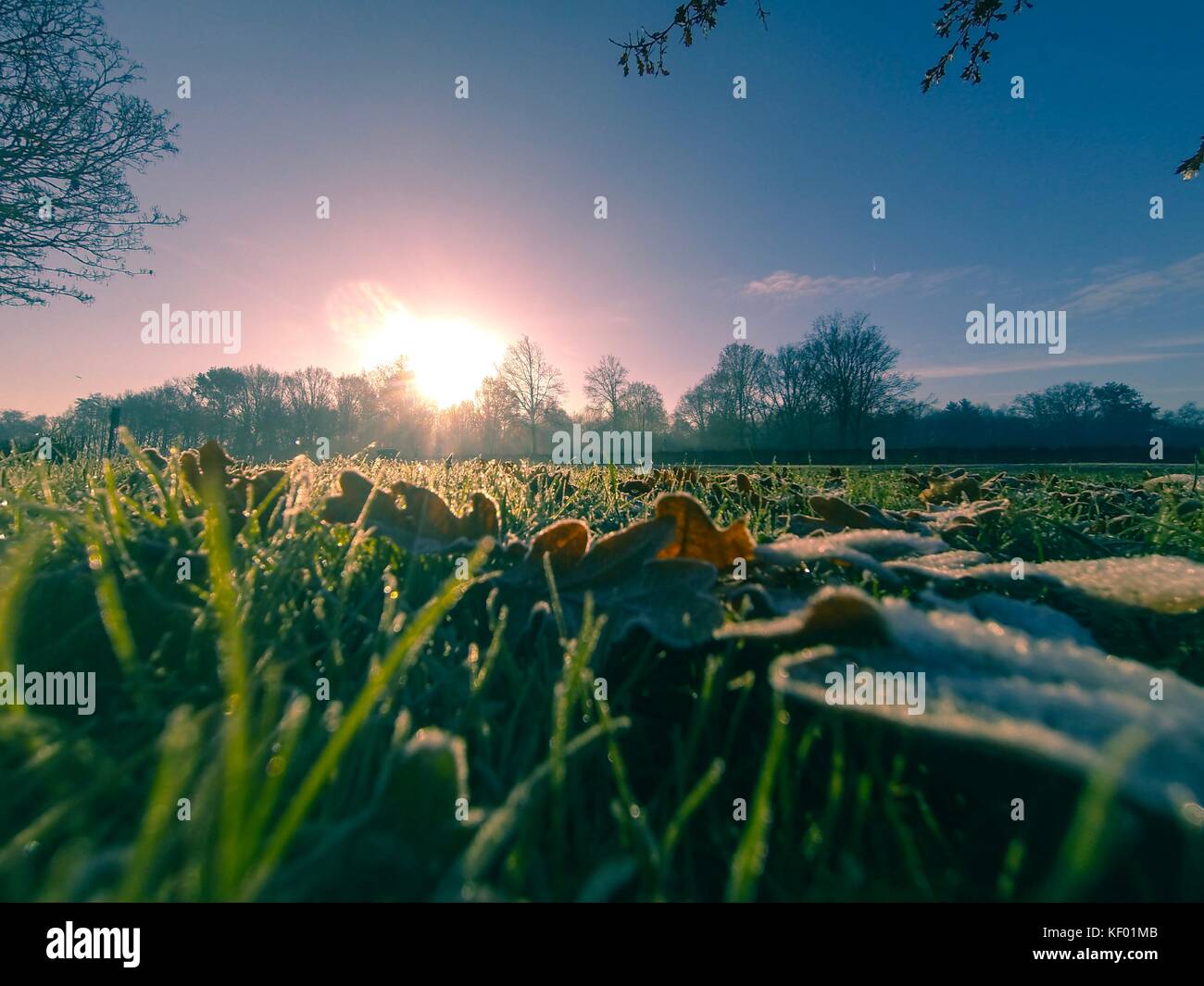 Beautiful golden sunrise over luscious green landscape with glowing ...
