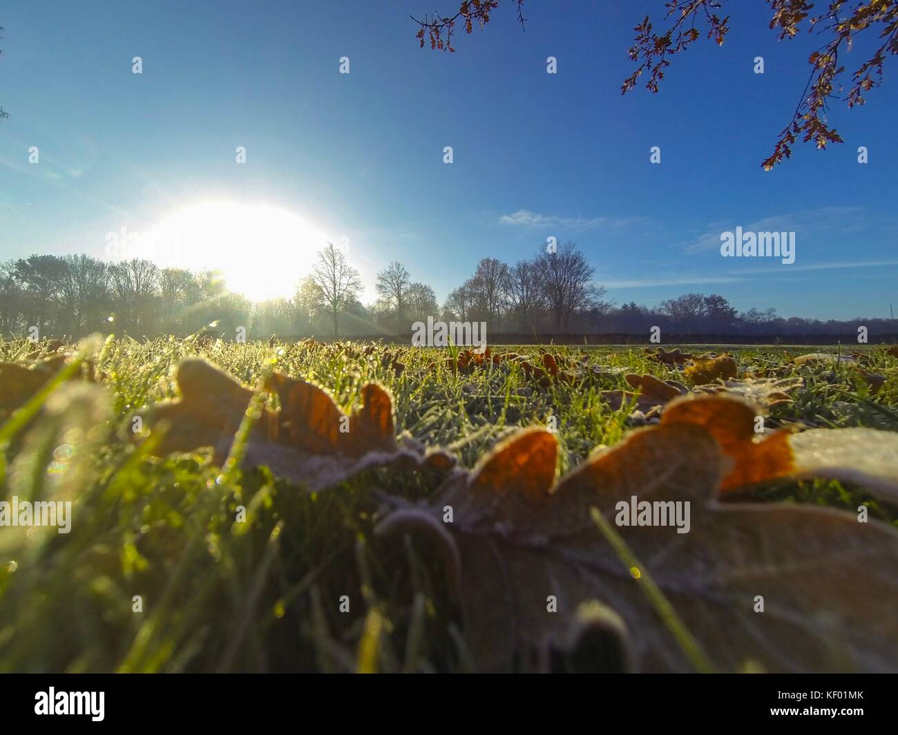 Beautiful golden sunrise over luscious green landscape with glowing ...