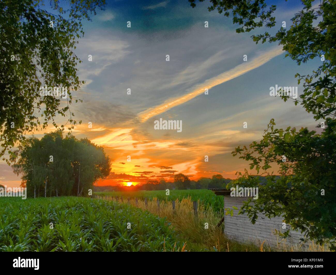 Dramatic golden sunrise over a lovely green natural landscape with ...