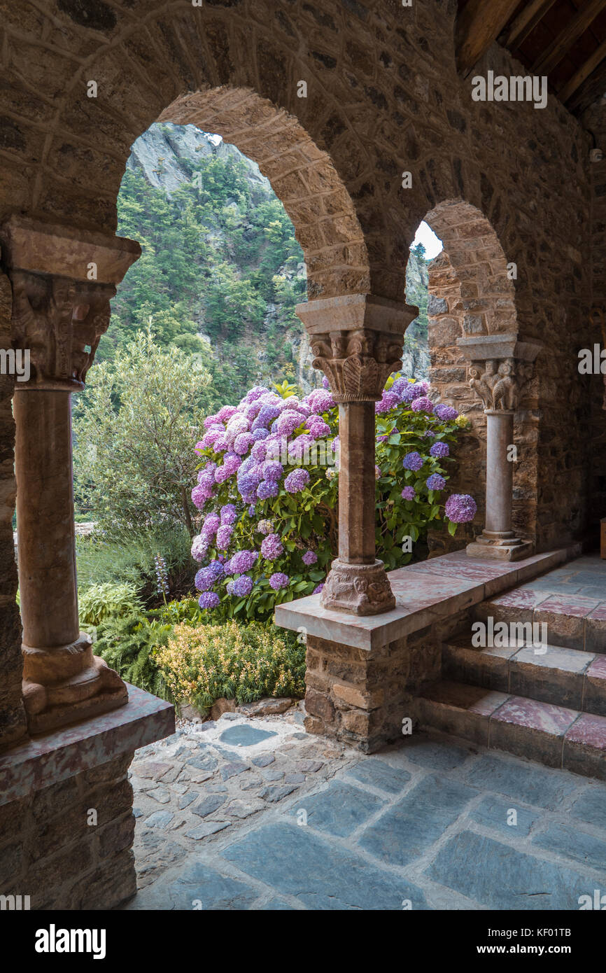 Hydrangeas bush and arch in the Romanesque Abbey of Saint Martin du ...