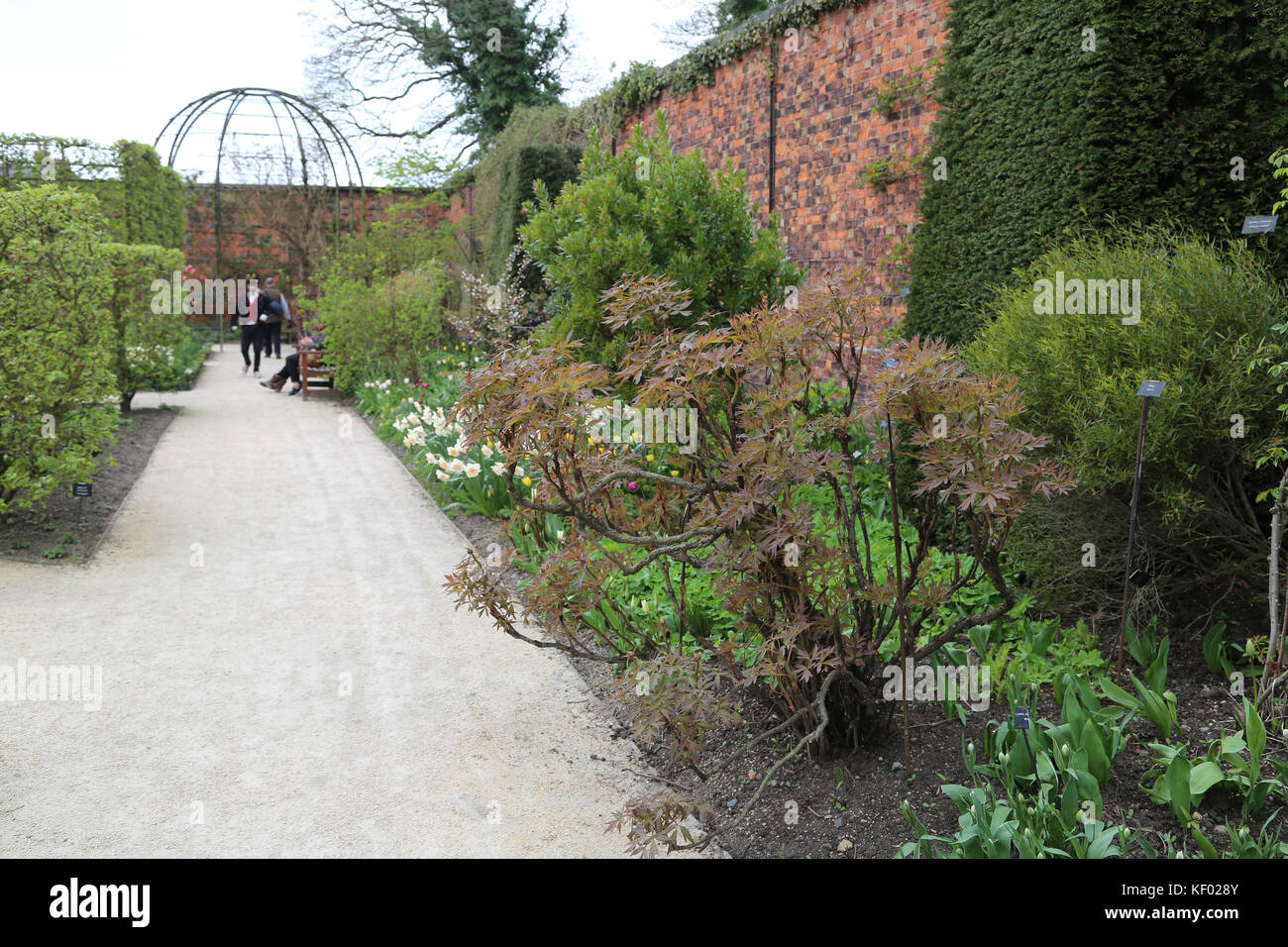 The Alnwick Garden in Alnwick, Northumberland Stock Photo - Alamy