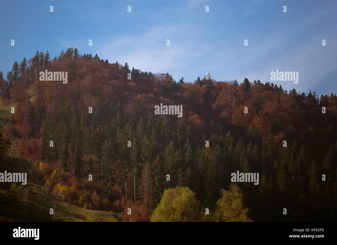 Eastern europe forest hi-res stock photography and images - Alamy