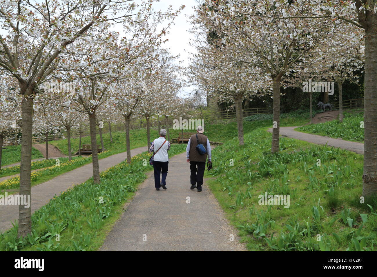 The Alnwick Garden in Alnwick, Northumberland Stock Photo - Alamy