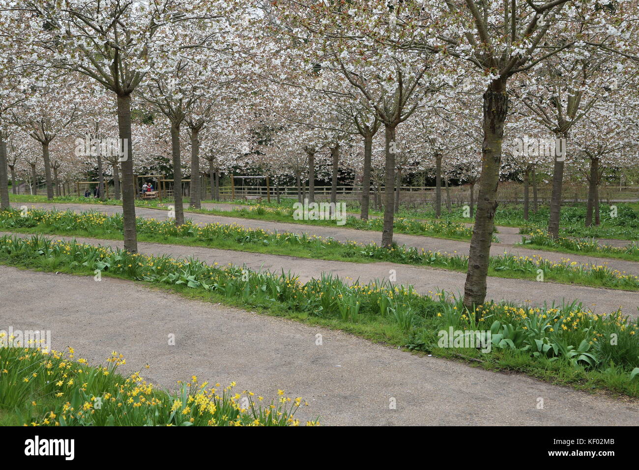 The Alnwick Garden in Alnwick, Northumberland Stock Photo - Alamy