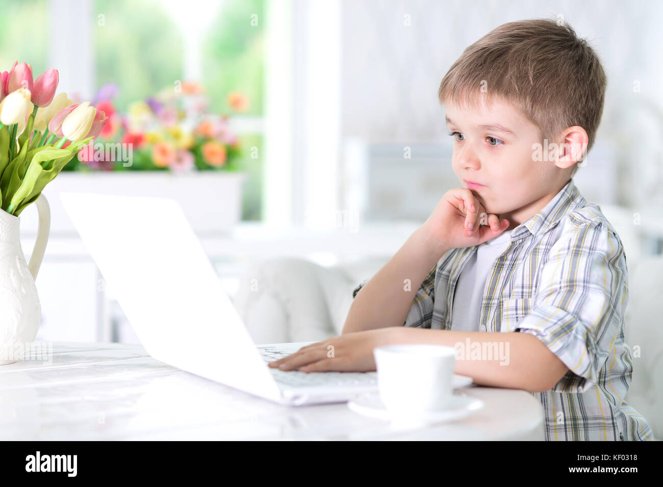 little boy using laptop Stock Photo - Alamy