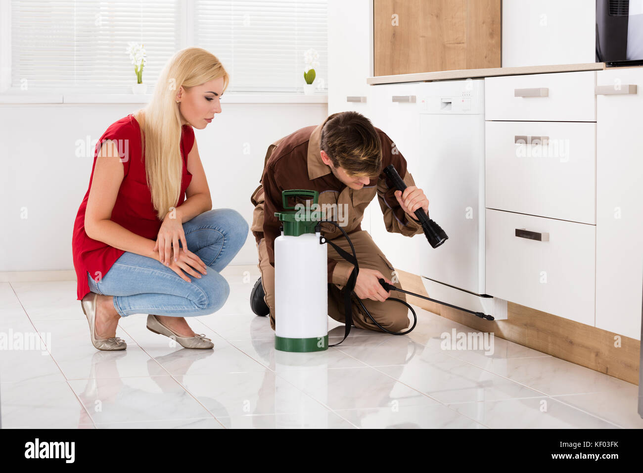 Woman Looking At Exterminator Worker Spraying Insecticide Chemical For ...
