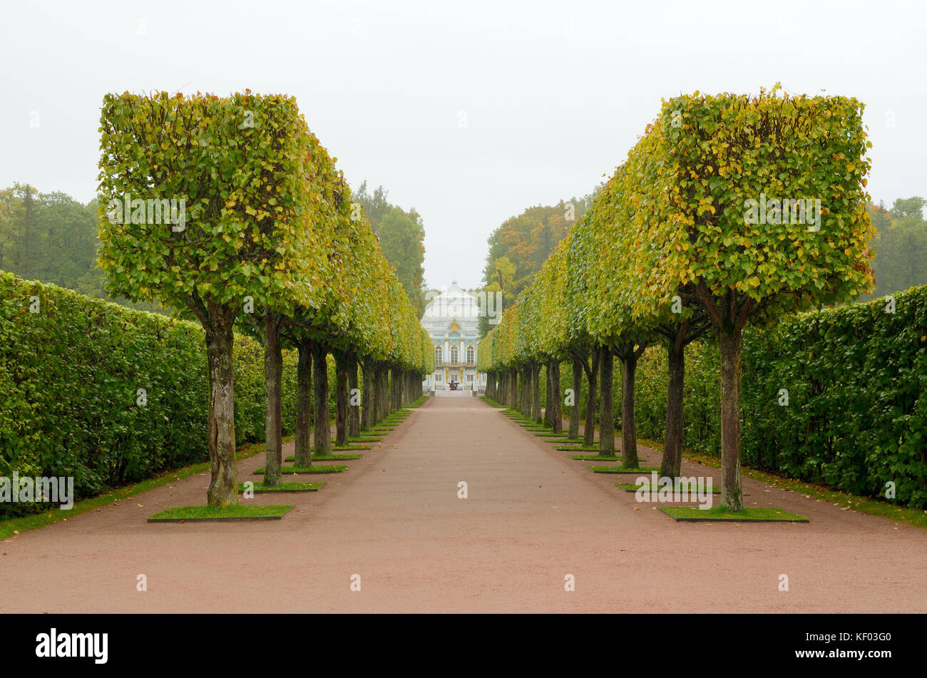 Manicured trees hi-res stock photography and images - Alamy