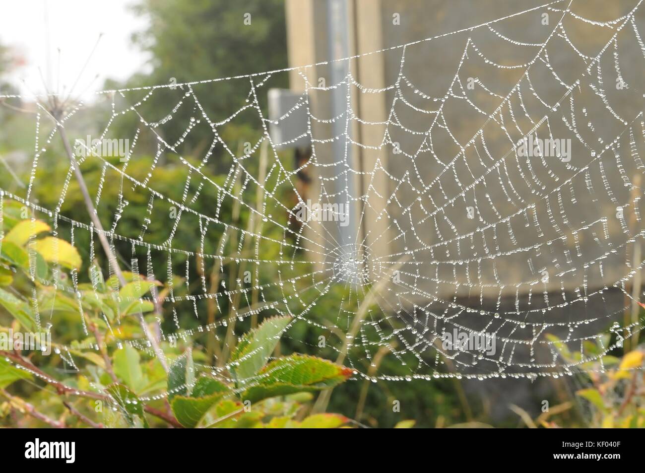 Life in the village of Carrega Ligure, Piedmont, Italy Stock Photo - Alamy