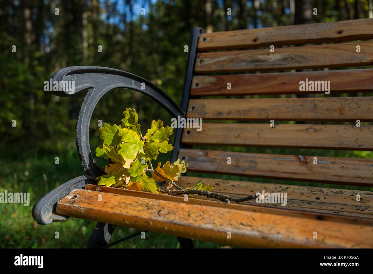 Green oak bench hi-res stock photography and images - Alamy