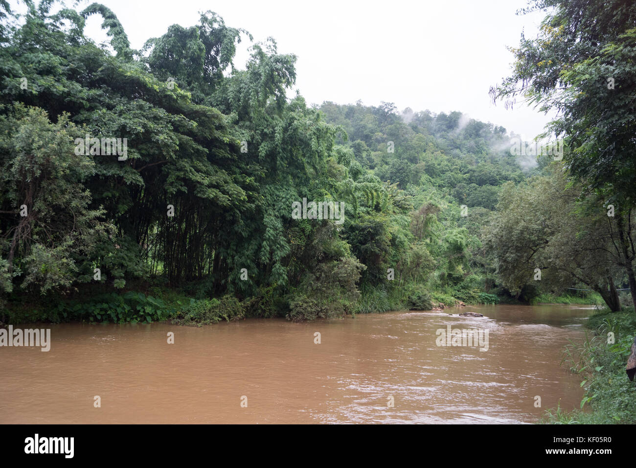 Maetaeng Elephant Park - Mae Taeng - through the wilderness on the back ...