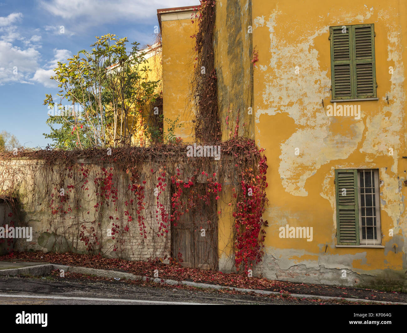 Facade of Ancient Yellow House in Parma with Red Vegetation, Italy ...