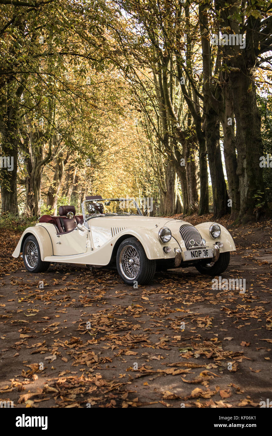 Morgan wings badge hi-res stock photography and images - Alamy