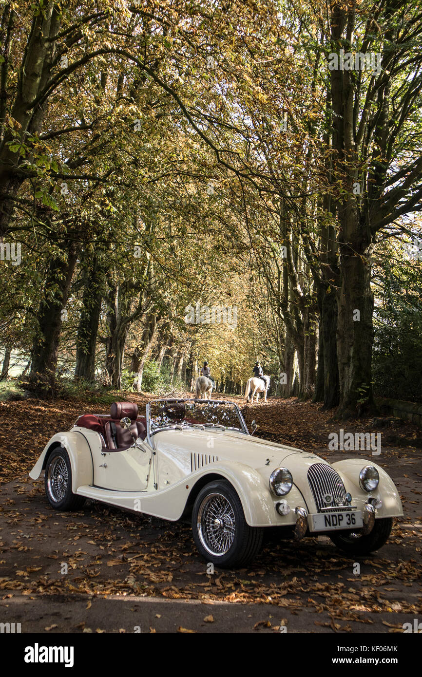 Morgan wings logo hi-res stock photography and images - Alamy