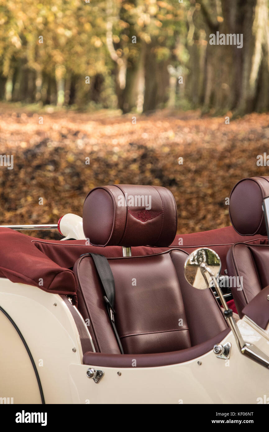 A cream Morgan Sports Car photographed in the Autumn, in Cragg Wood ...