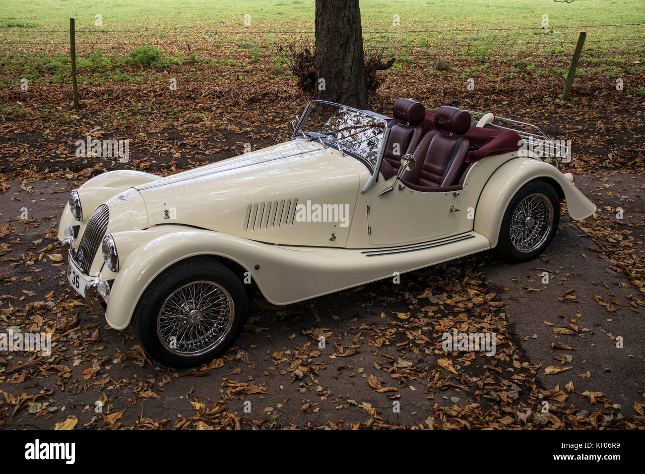 A cream Morgan Sports Car photographed in the Autumn, in Cragg Wood ...