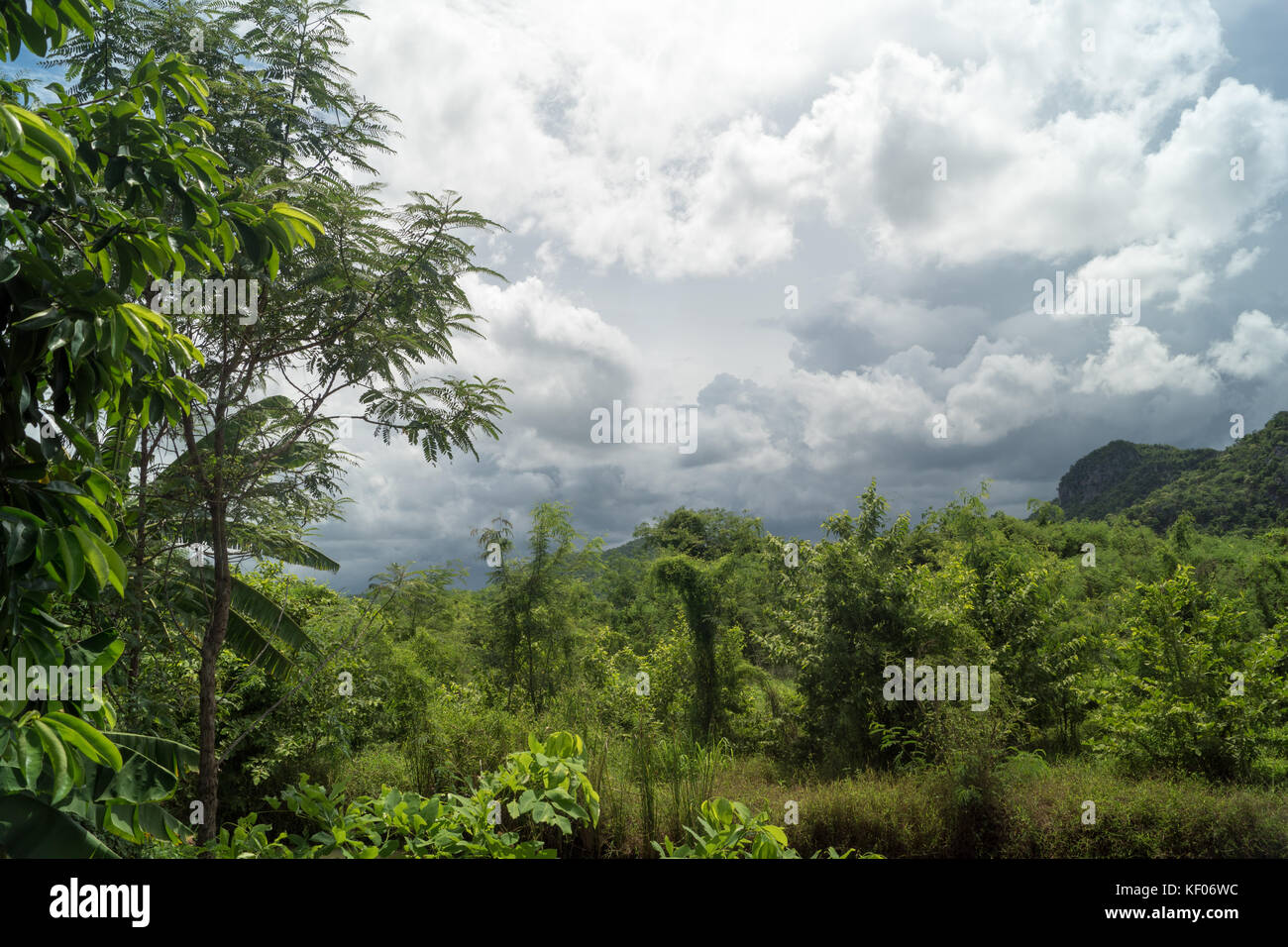 sweeping monsoon - view into the landscape Stock Photo - Alamy
