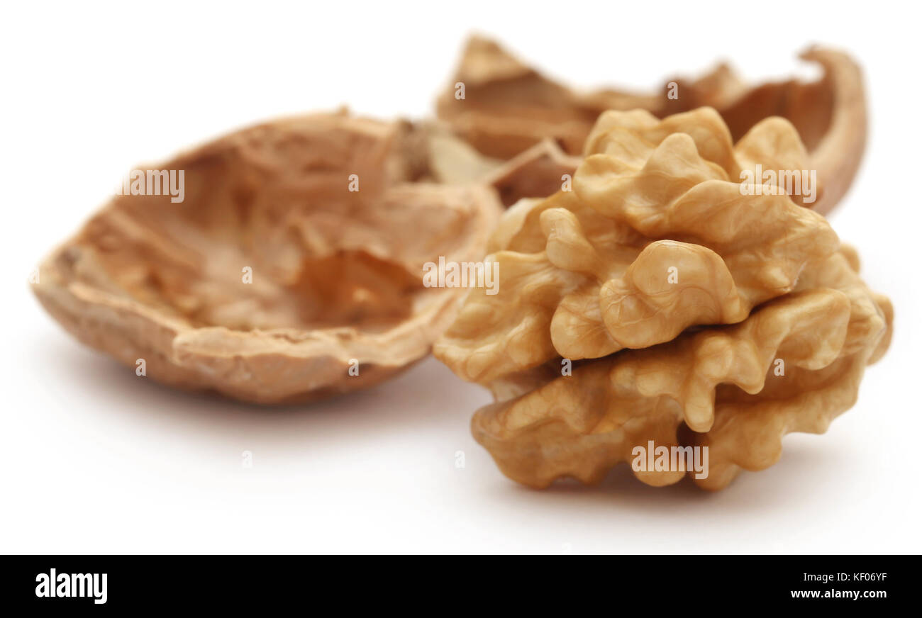 Walnut isolated over white background Stock Photo - Alamy
